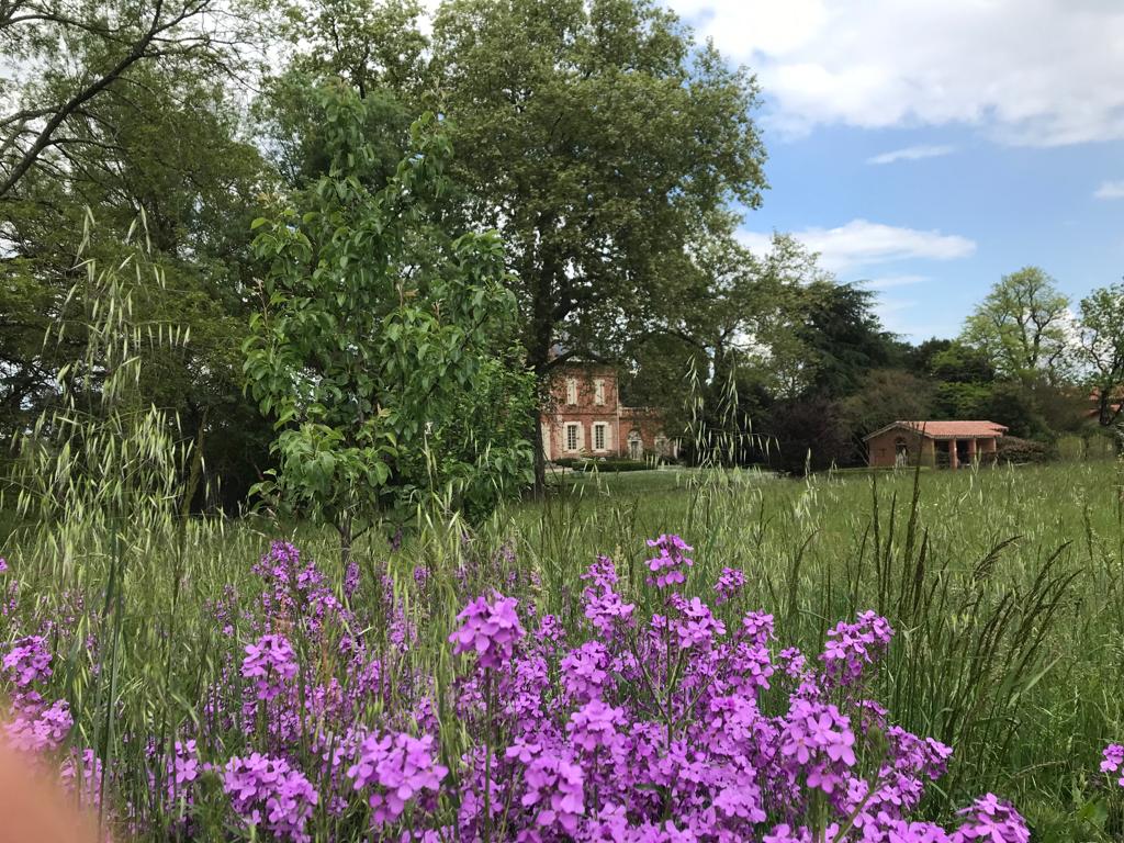 Tonte tardive, on vous explique pourquoi ? - Chambres d'hôtes de charme ...